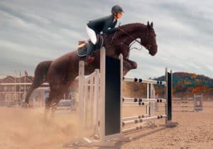 Horse Riding Accident Statistics in [current_year] (Latest U.S. Data ...