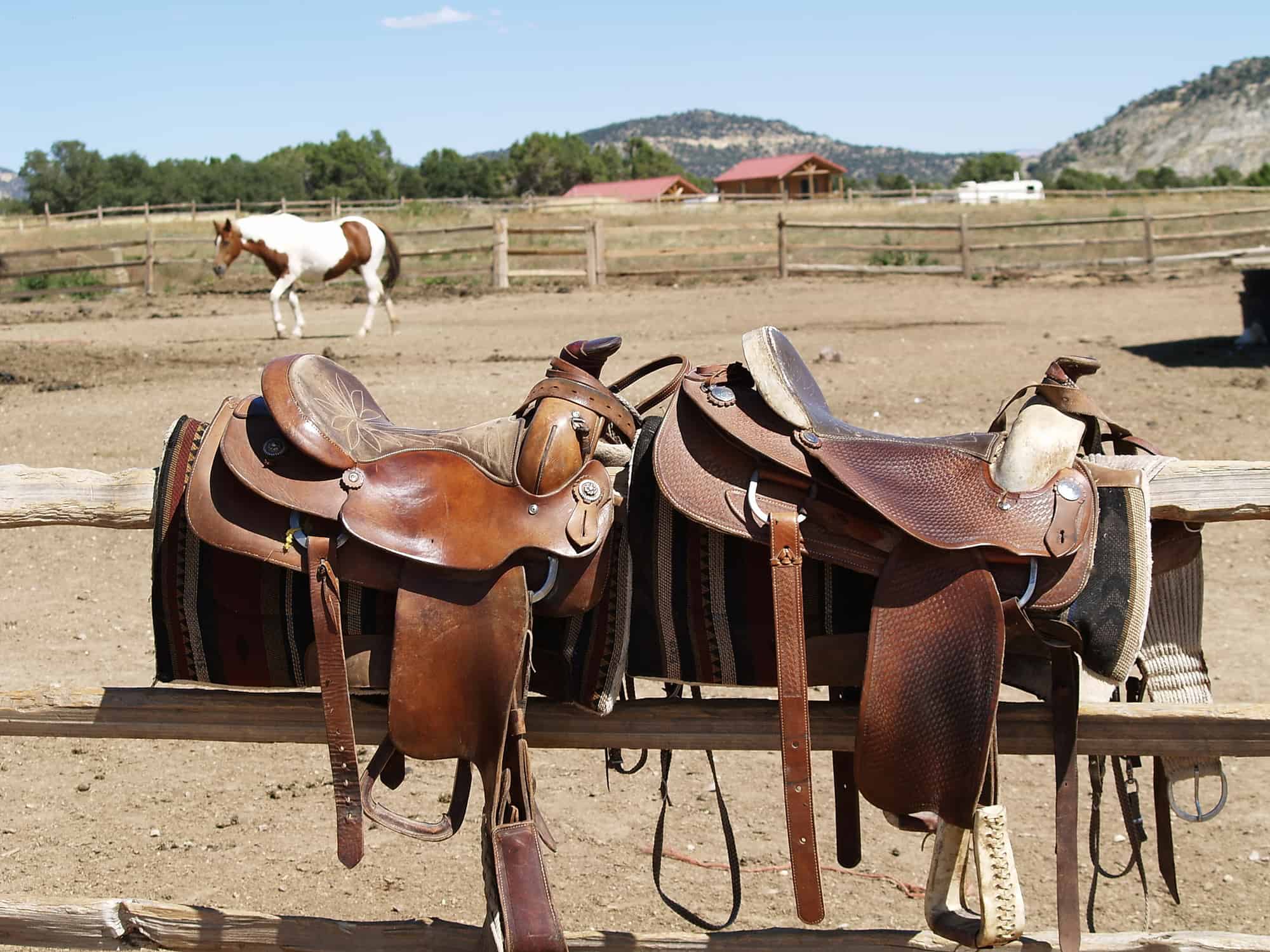 7 Best Roping Saddles Actually Worth the Money ([current_year ...